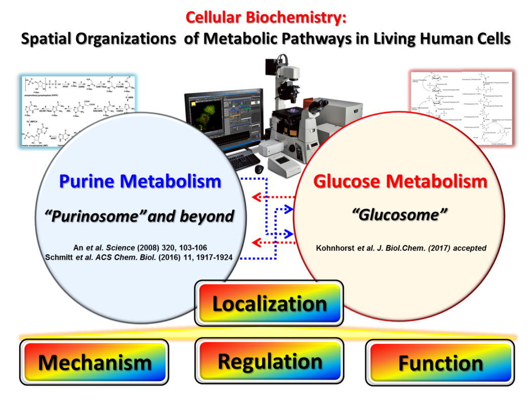 Research – Songon An Laboratory – UMBC